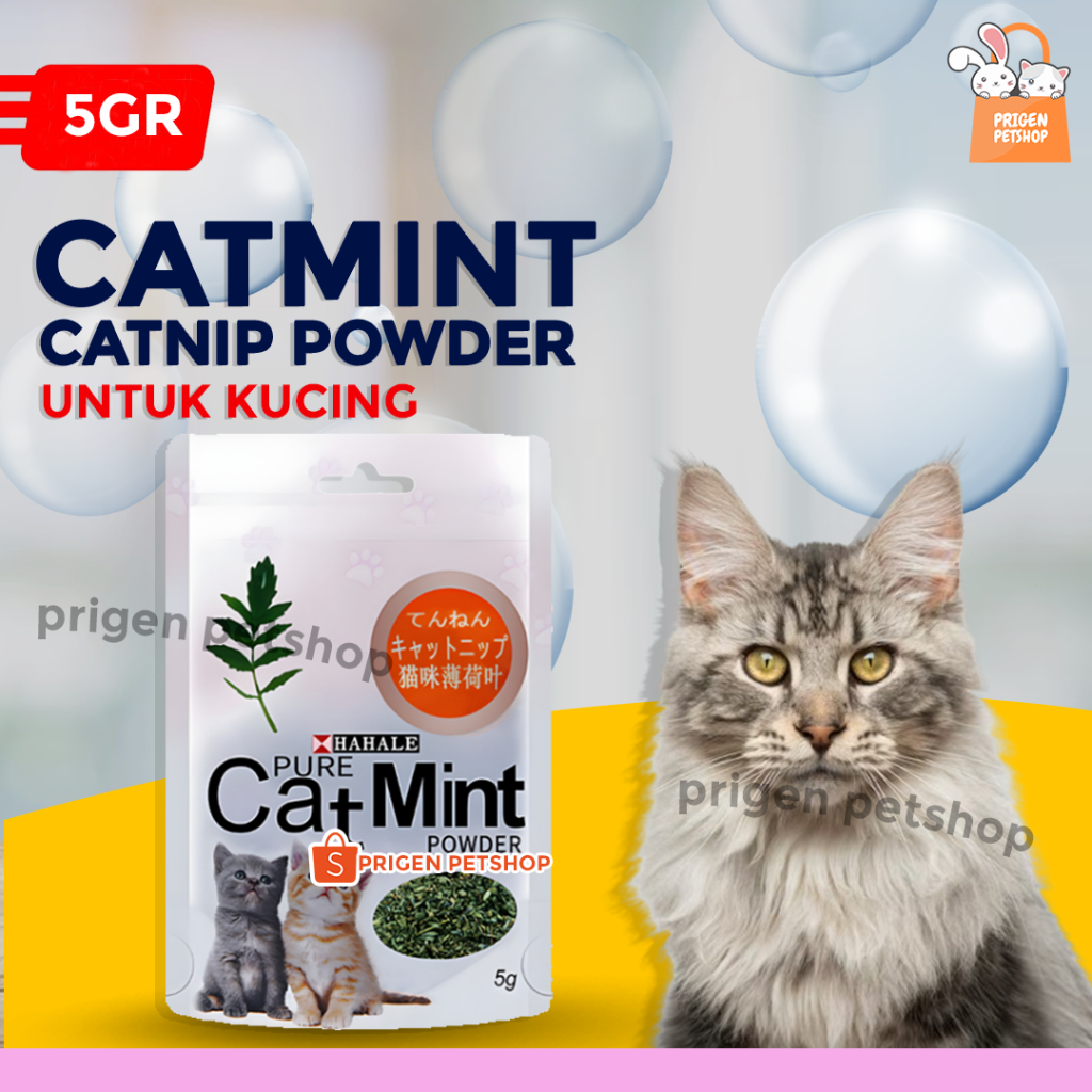 Jual Catmint Catnip Powder - Pure Catnip Powder - Catnip Pouch | Shopee ...