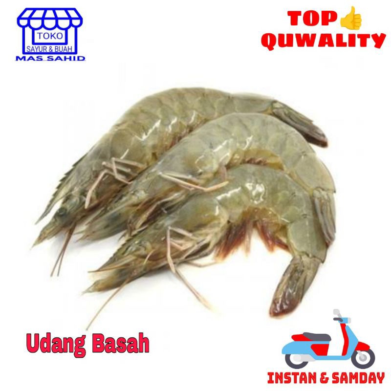 Jual Udang Basah Fresh Udang Segar | Shopee Indonesia