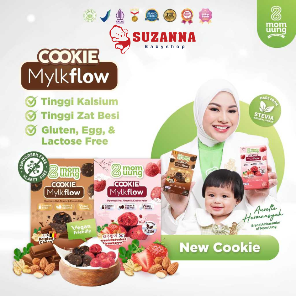 Jual Mom Uung Cookies Mylkflow - Kukis Sehat / Pelancar ASI | Shopee Indonesia