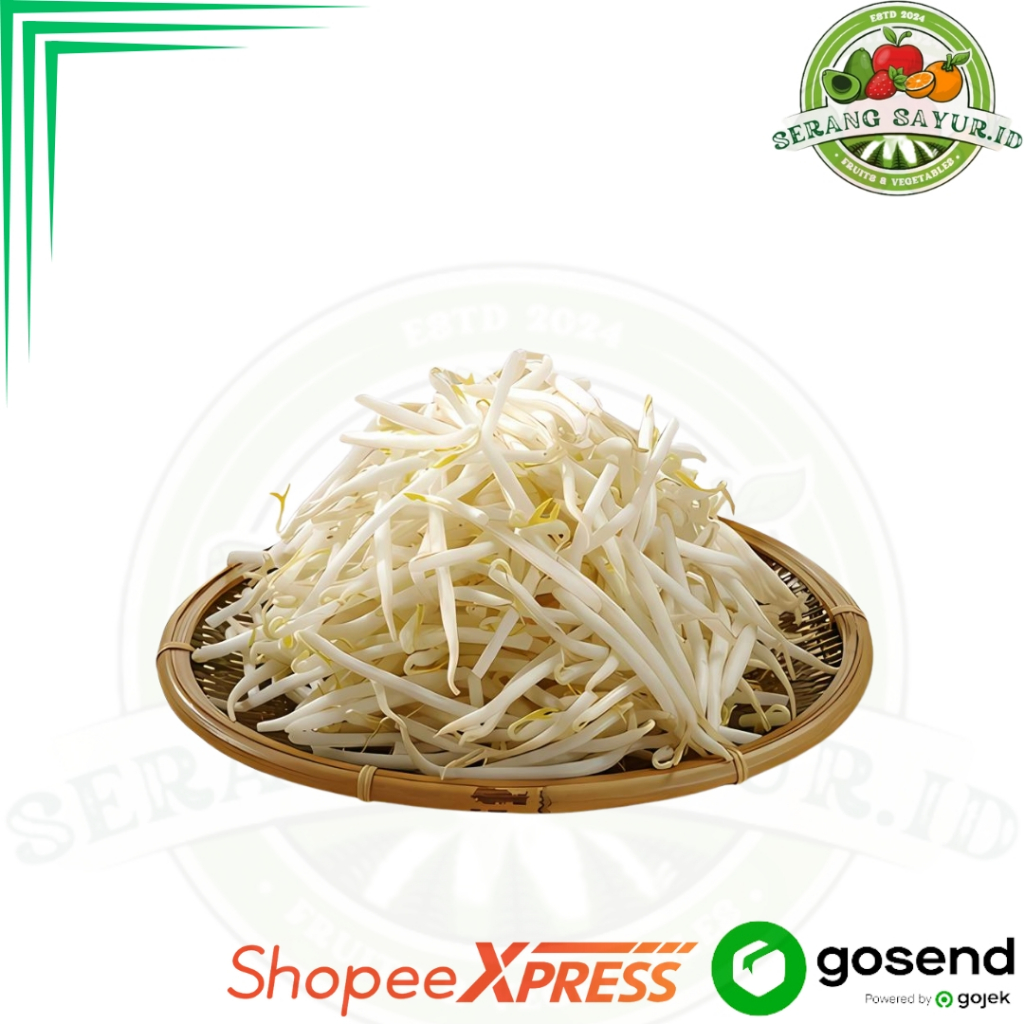 Jual TOGE TAUGE PANJANG 250 GR | Shopee Indonesia