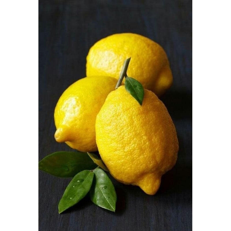 Jual lemon import 500gr | Shopee Indonesia