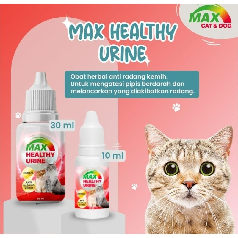 Jual Obat Saluran atau Radang Kemih Kucing Max Healthy Urine 10 ml & 30 ...