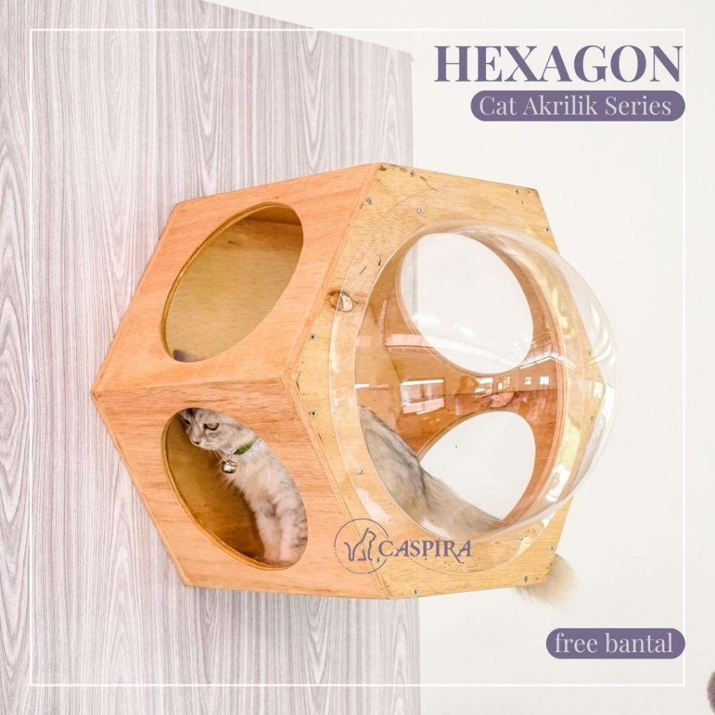Jual Hexagon Series Caspira / Cat House - Cat Box Akrilik - Kandang ...
