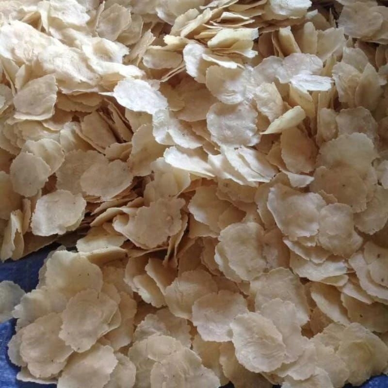 Jual 1Kg Emping MELINJO Mentah Kualitas SUPER Khas Limpung | Shopee ...