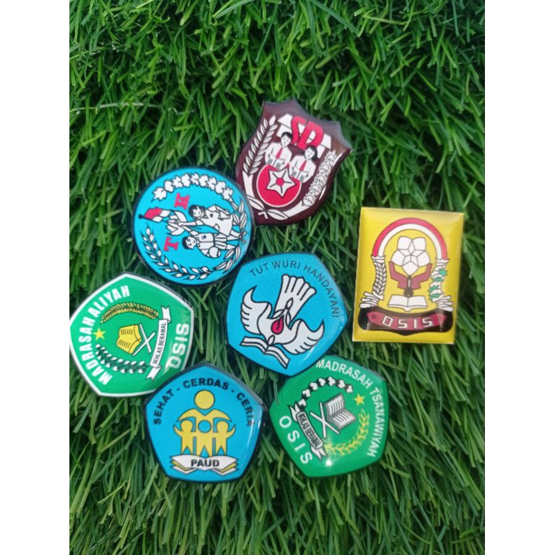 Jual Pin/bross resin logo sekolah TK,PAUD,SD,SMP | Shopee Indonesia