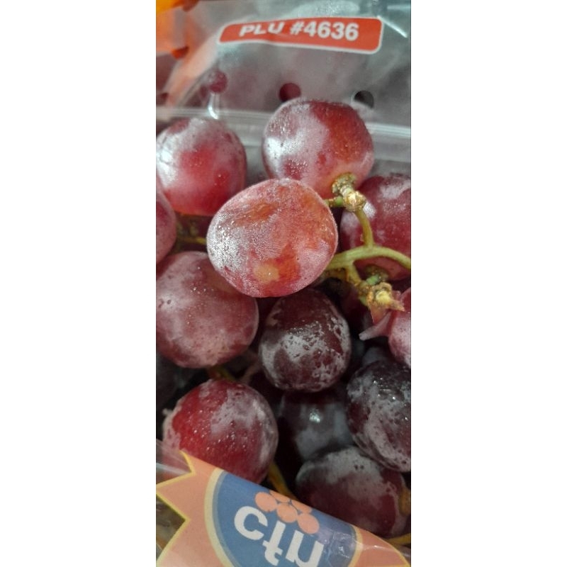 Jual Anggur Redglobe 1 kg | Shopee Indonesia