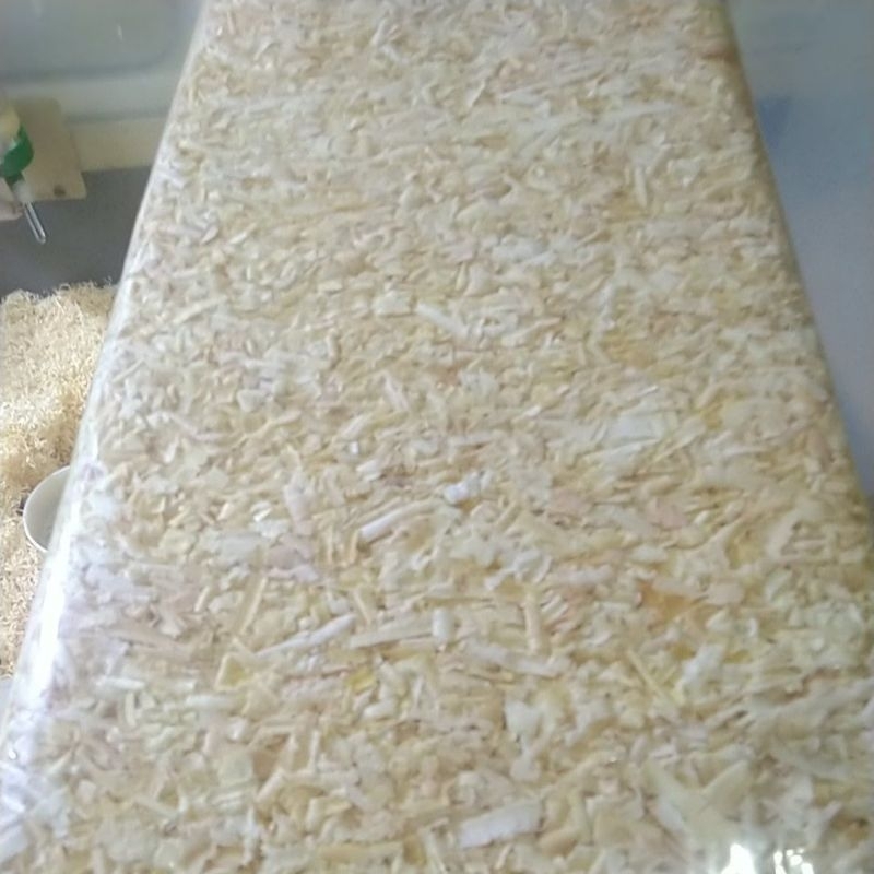 Jual serbuk kayu pinus jati belanda | Shopee Indonesia