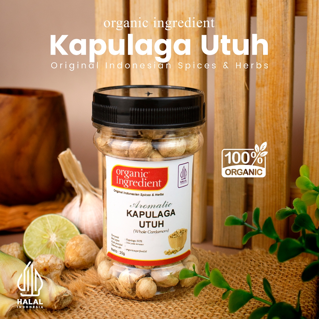 Jual Organic Ingredient Kapulaga Utuh Original Rempah Indonesia Bumbu ...