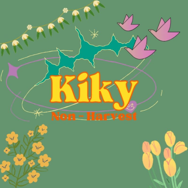 Jual Kertas Binder Kiky edisi lama [ Wajib cek deskripsi] | Shopee ...