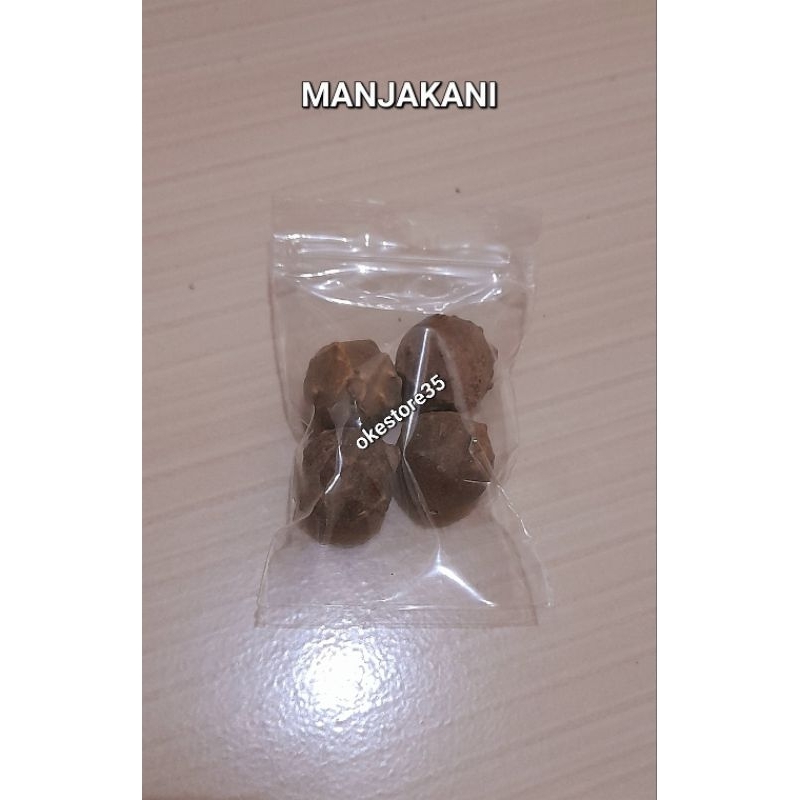 Jual 4 biji buah manjakani/Buah manjaan hijau super | Shopee Indonesia