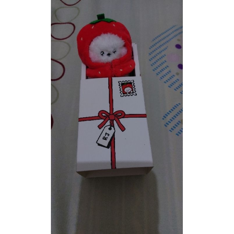 Jual Doll BT21 RJ fruits bts jin boneka official | Shopee Indonesia