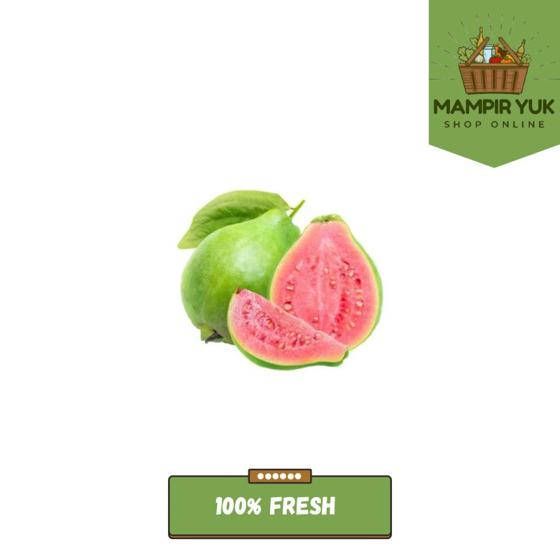 Jual Jambu batu merah 1kg | mampiryuk | Shopee Indonesia