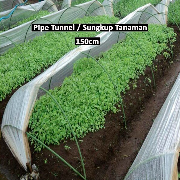 Jual Sungkup Tanaman Ajir / Pipe Tunnel 8 x 1500mm (150cm) 3 Pcs ...