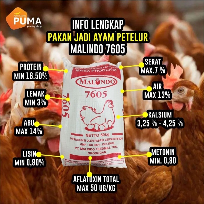 Jual PAKAN KOMPLIT REPACK- 1 KG AYAM PETELUR LAYER MALINDO 7605 PAKAN ...