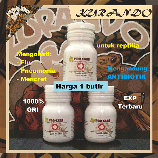 Jual JKK ProCare Ecer Pro Care JKK Obat Flu Pneumonia Reptil Torto by ...