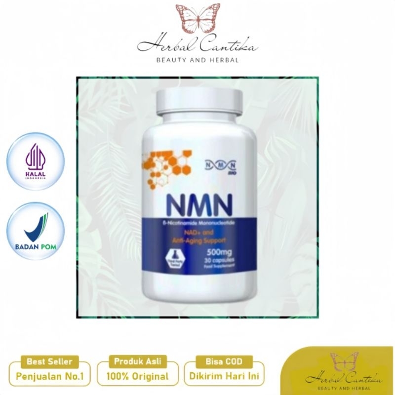 Jual NMN Bio B - Nicotinamida Mononucleotide - 500mg Anti-Aging & NAD + | Shopee Indonesia