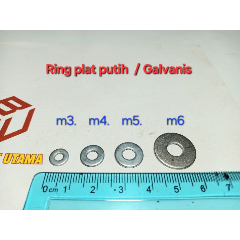 Jual 10 biji Ring plat m3 - m4 - m5 - m6 putih / Galvanis | Shopee ...