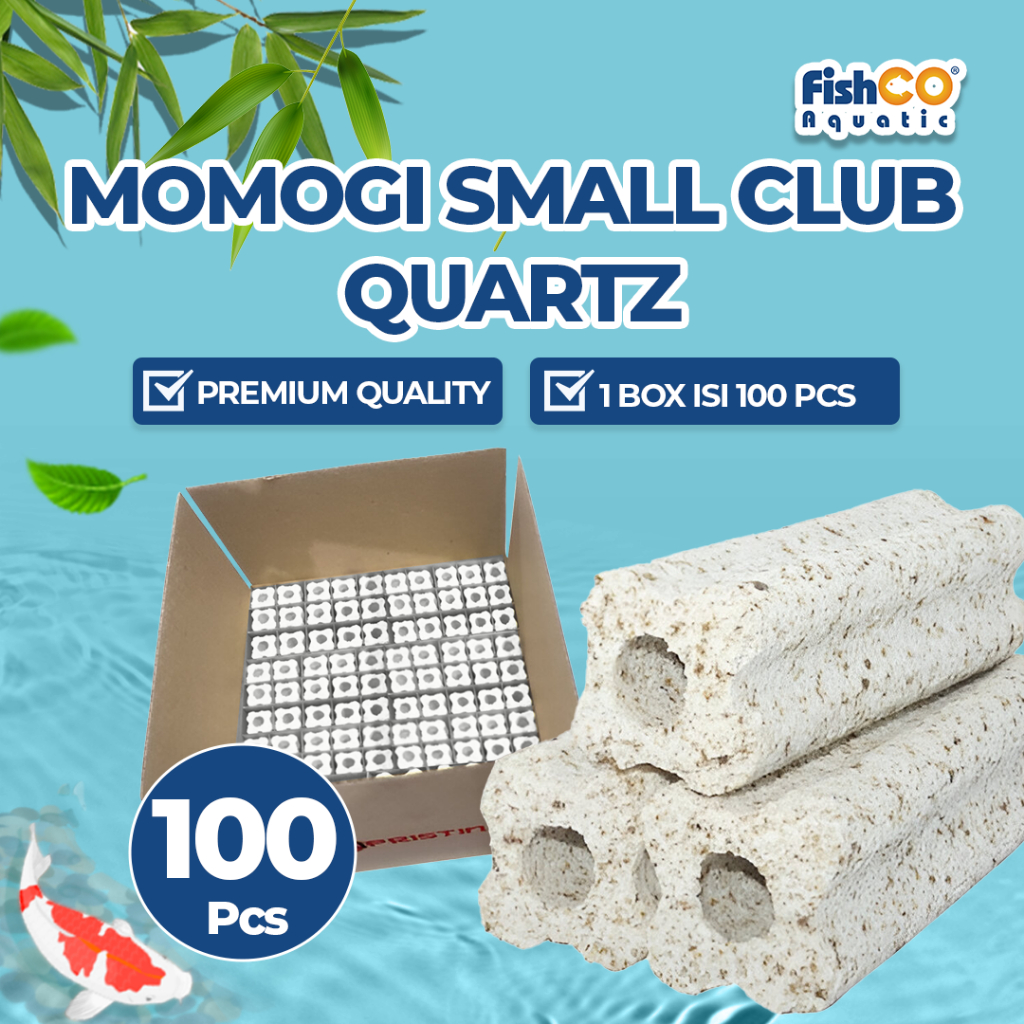 Jual Media Filter Momogi Small Club Quartz Rumah Bakteri Bioblock 100 ...