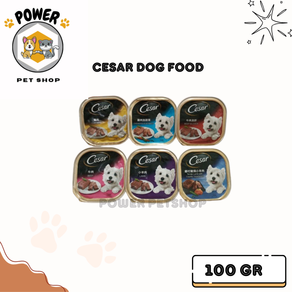 Jual Makanan Anjing - CESAR DOG FOOD ALL VARIANT 100g | Shopee Indonesia