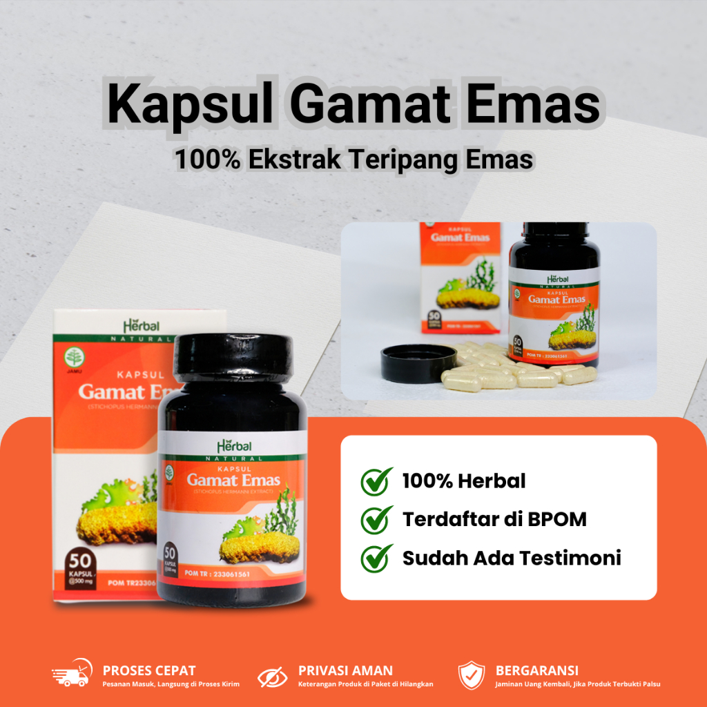Jual Kapsul Gamat Emas Original 100% Asli Teripang Emas Aman Tanpa Efek ...