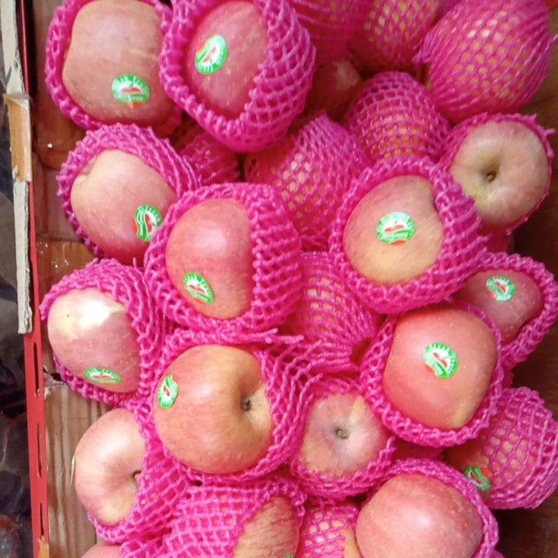Jual apel Fuji 1kg isi 5,6 buah | Shopee Indonesia