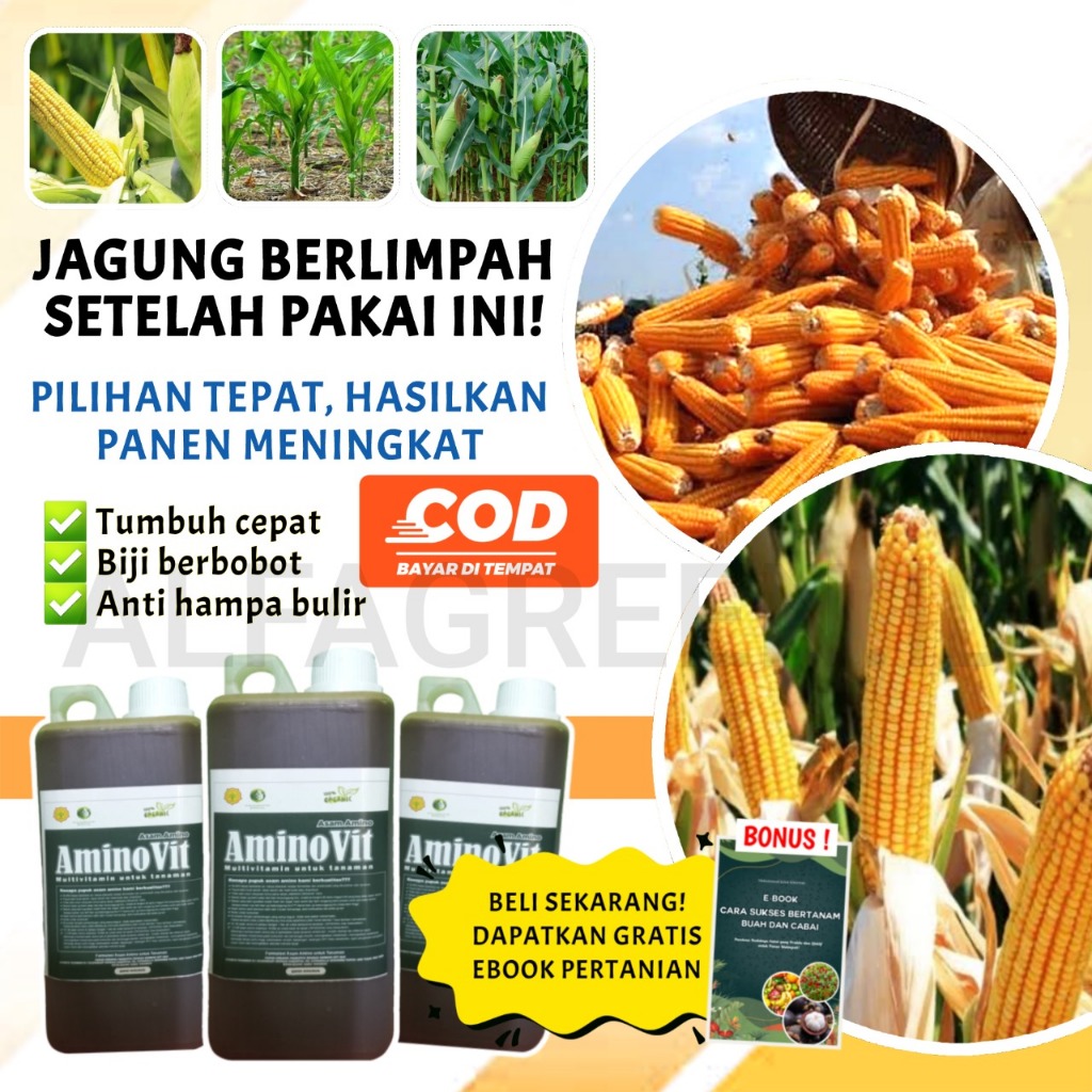 Jual Paket asam amino super paket reseller 30 liter | Shopee Indonesia