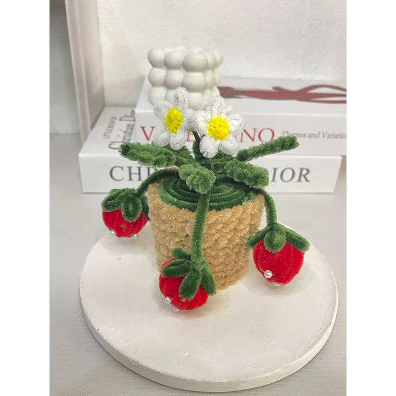 Jual STRAWBERRY KAWAT BULU // DIY // PIPE CLEANER // MINI GIFT | Shopee ...