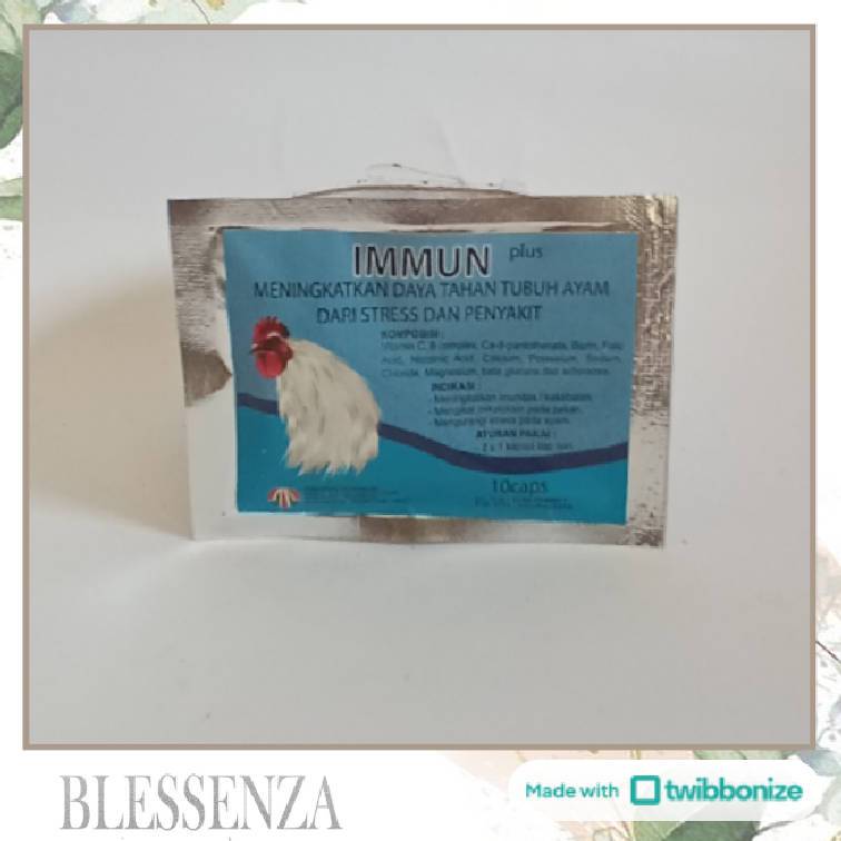 Jual IMMUN PLUS 10 CAPSUL - VITAMIN MENINGKATKAN DAYA TAHAN TUBUH AYAM ...