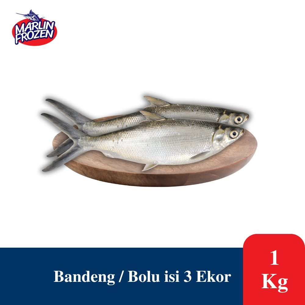 Jual Ikan Bandeng Bersih / Ikan Bolu Belum Bersih 1 kg | Shopee Indonesia