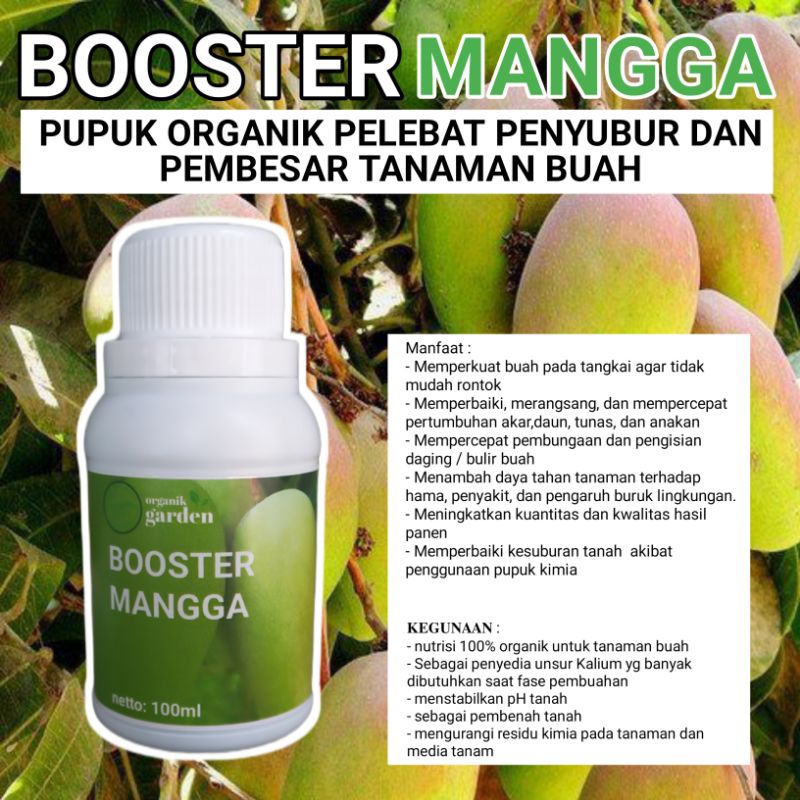 Jual MANGGA | booster cair nutrisi vitamin pelebat buah MANGGA 100ml ...