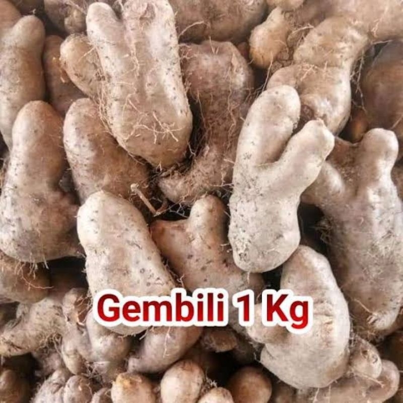 Jual Ssl09 Umbi Gembili Segar 1kg Ubi Tradisional Kaya Manfaat | Shopee ...