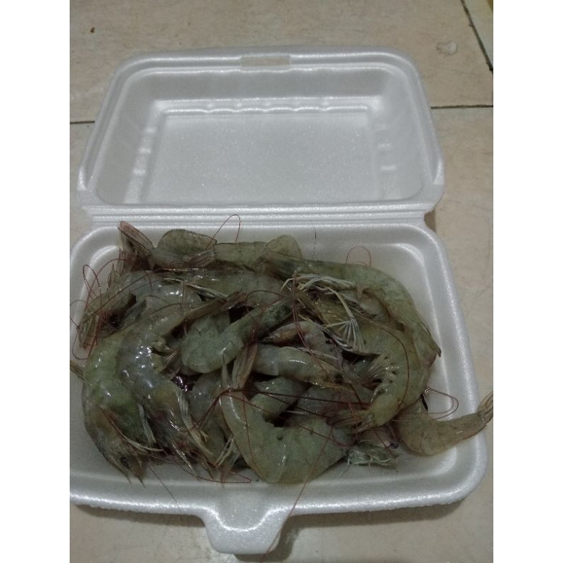 Jual Udang fresh/cumi fresh/kerang kupas 250g/udang rebon 20g | Shopee ...