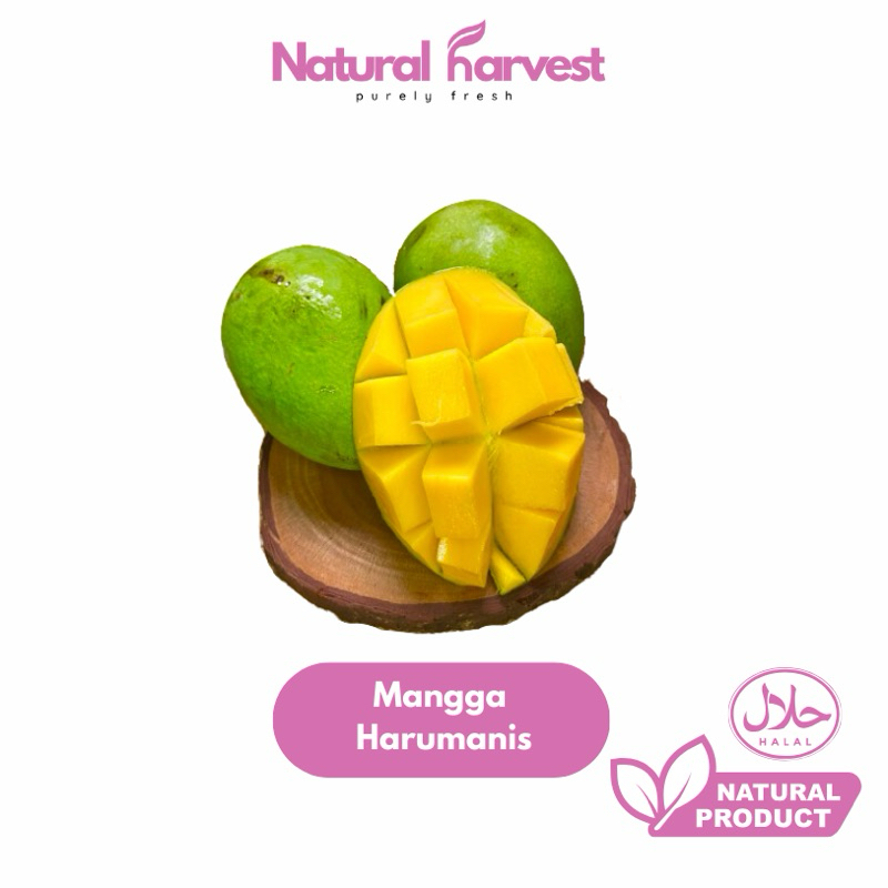 Jual Buah Mangga Harumanis Super 1kg | NaturalHarvest! | Shopee Indonesia