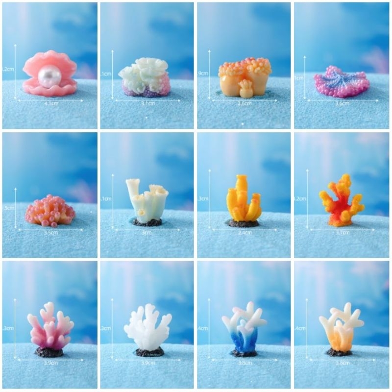 Jual 1pc Miniatur Terumbu Karang Kerang Aksesoris Pantai Laut Maket ...