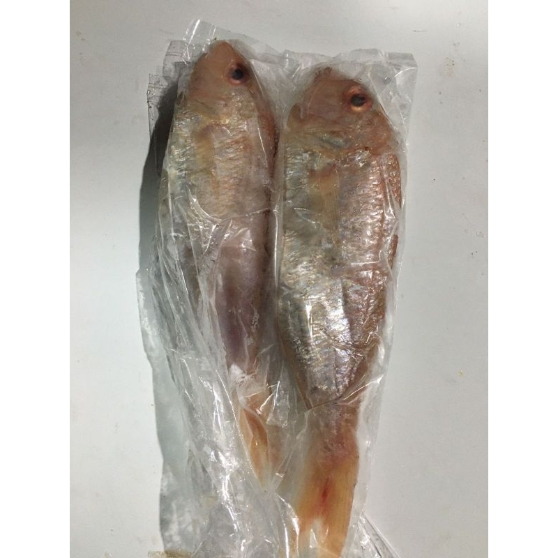 Jual ikan Laut Kerisi/Kurisi fresh frozen 1kg | Shopee Indonesia