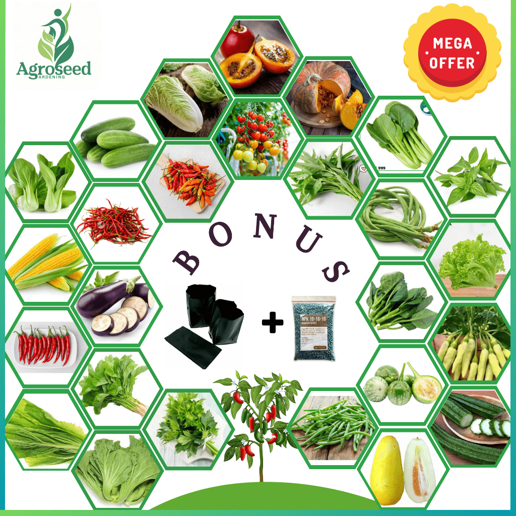 Jual 25 PAKET TERLENGKAP Jenis Benih Super Tanaman/Sayuran Lengkap ...