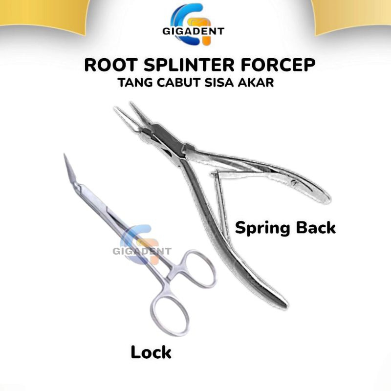 Jual TANG CABUT SISA AKAR / ROOT SPLINTER FORCEPS | Shopee Indonesia