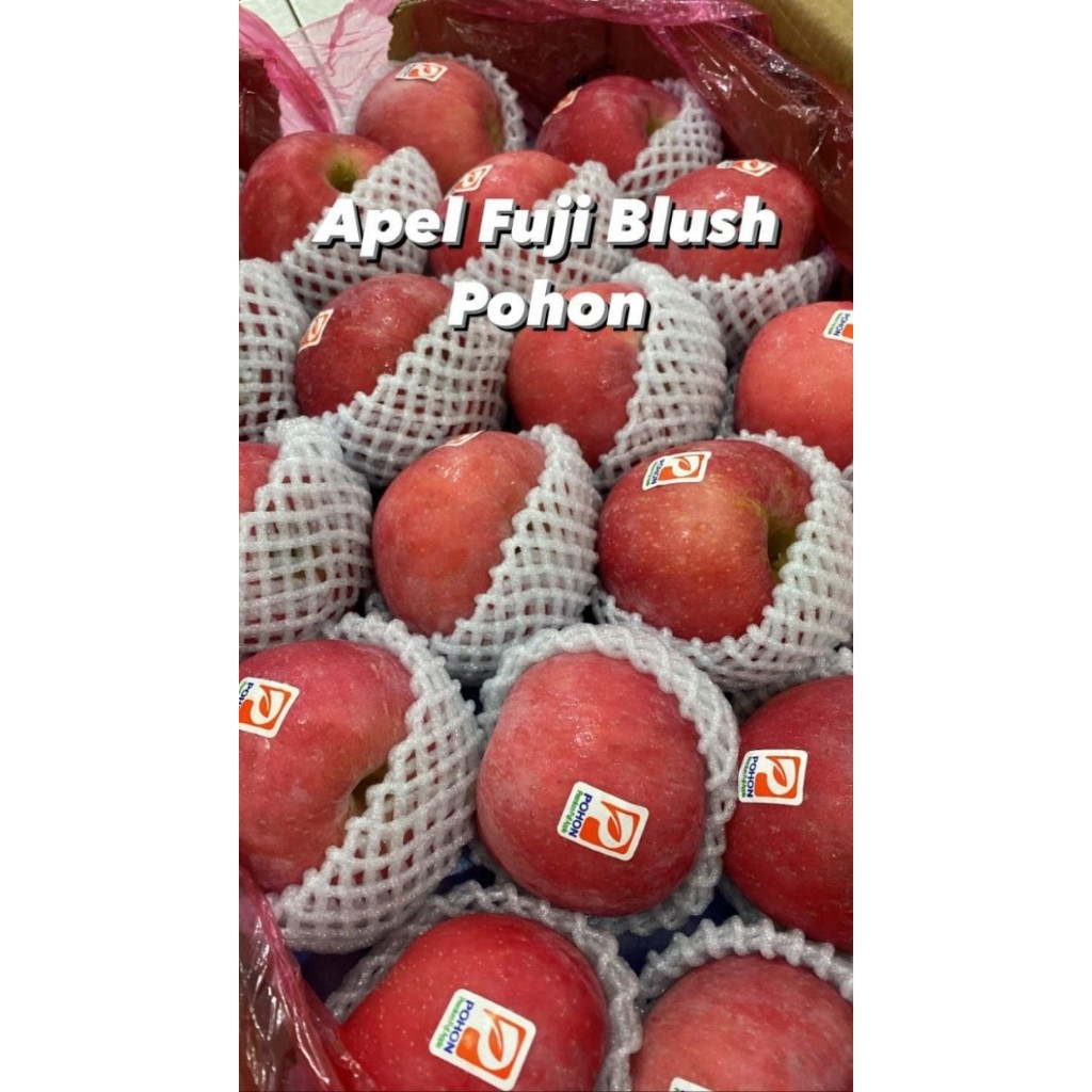 Jual Apel Fuji Premium Blush Pohon | Shopee Indonesia