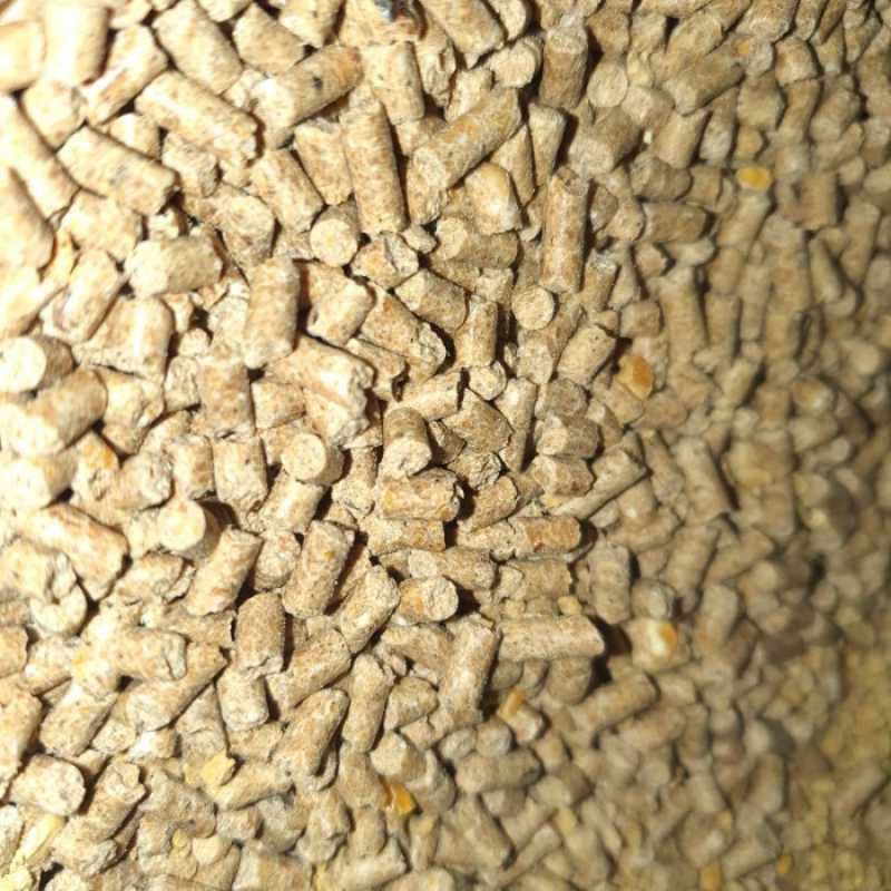 Jual Pakan Ayam 594 Pur Ayam 594 Bangkok Jantan 10 Kg | Shopee Indonesia