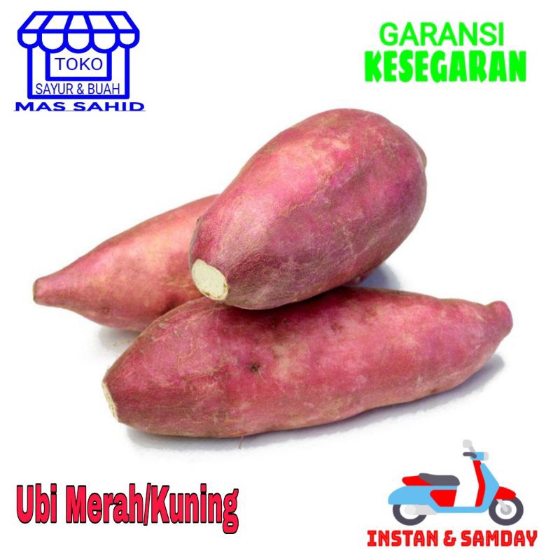 Jual Ubi Merah Ubi Kulit Merah Daging Kuning 500 grm Stok Segar Baru ...