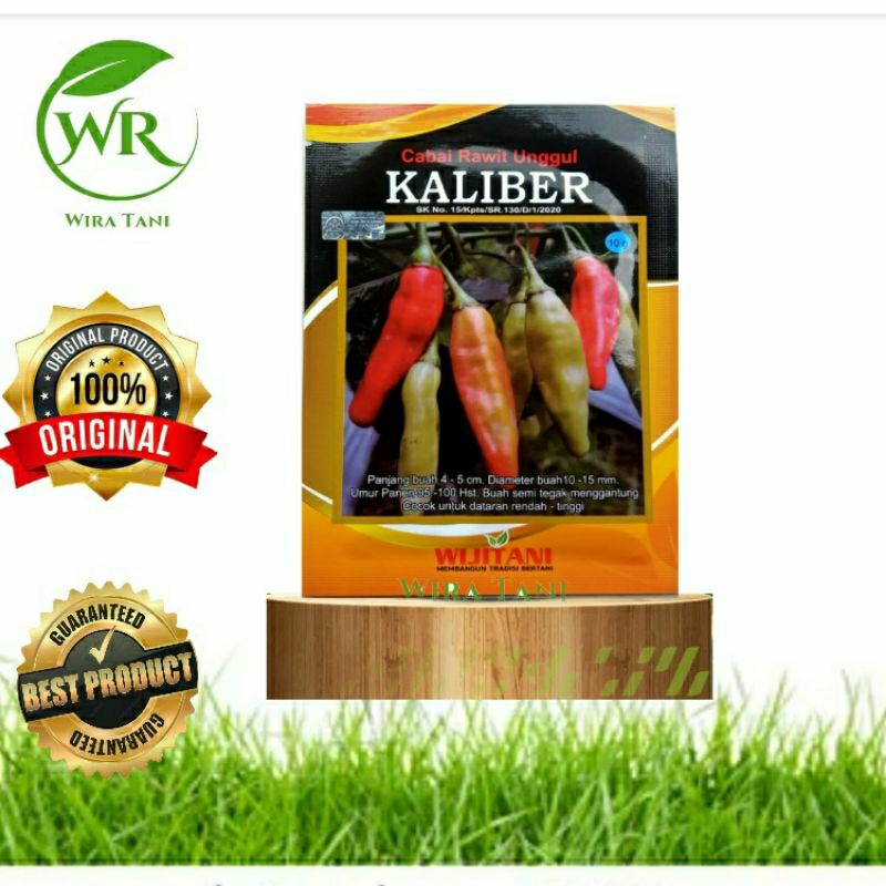 Jual Benih cabai KALIBER 10 gram 100% original [Wijitani] cabai rawit ...