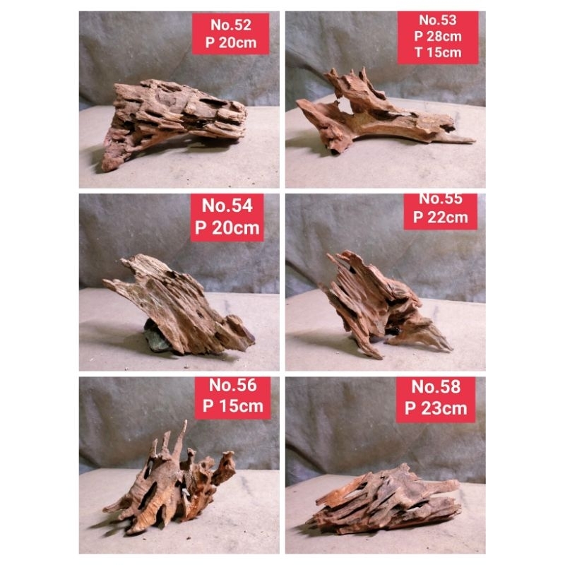 Jual kayu rentek aquascape kayu rentek drift Wood aquascape aquarium 51 ...