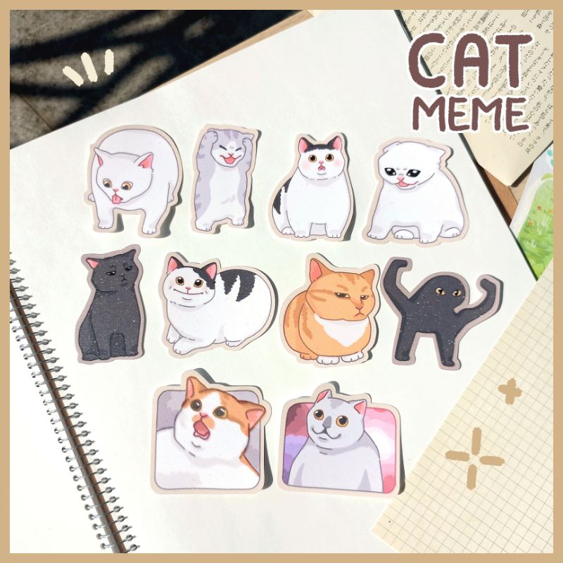 Jual Stiker Glitter MEME Cat Viral // Meme Kucing lucu // Kucing Viral ...