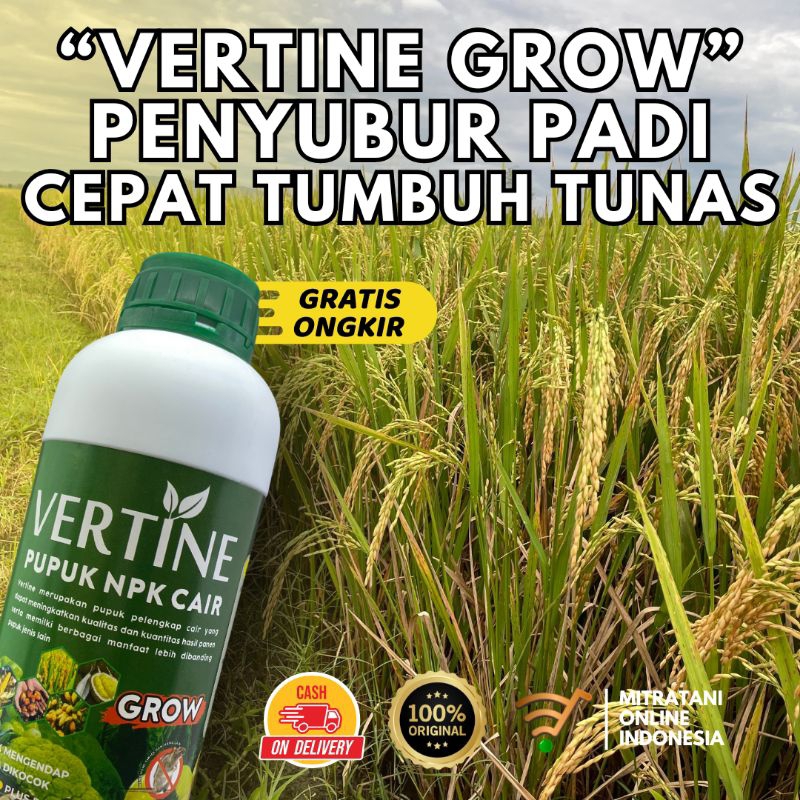Jual Pupuk npk cair Vertine Grow Pupuk Pelebat Anakan Padi 1Lt ZPT Penambah Benih & Bobot Padi ...