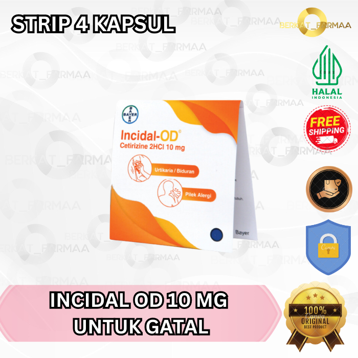 Jual INCIDAL OD 10 MG STRIP 4 KAPSUL UNTUK GATAL | Shopee Indonesia