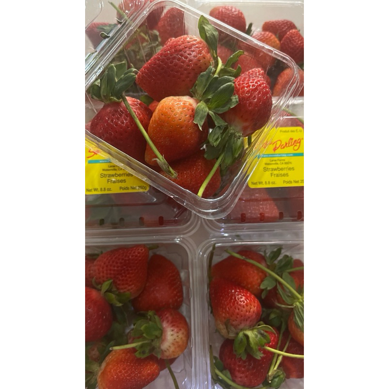 Jual strawberry Import USA 1 pack 270 gram super jumbo size | Shopee ...