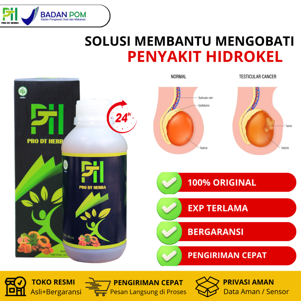 Jual Obat Hidrokel Varikokel Buah Zakar Bengkak Nyeri Biji Zakar Testis ...