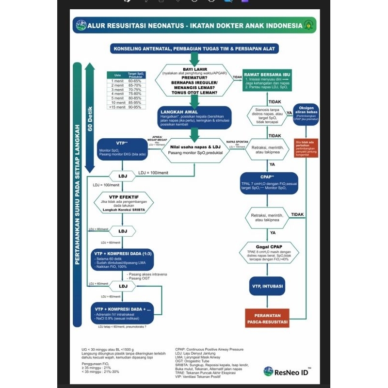 Jual Ready Stok Banner Alur Resusitasi Neonatus Ukuran 40x60 cm ...