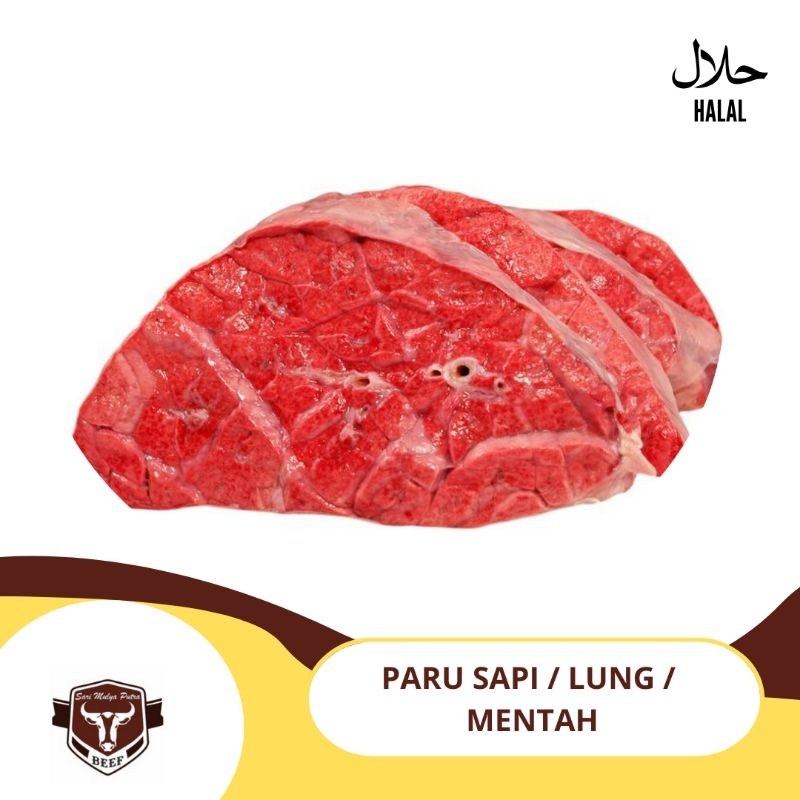Jual paru sapi / paru sapi segar / lung beef | Shopee Indonesia