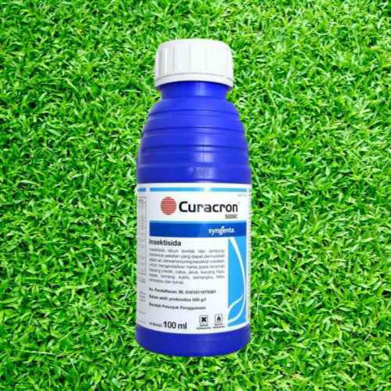 Jual Jual Obat curacron 100ml Untuk Hama 100% ampuh | Shopee Indonesia